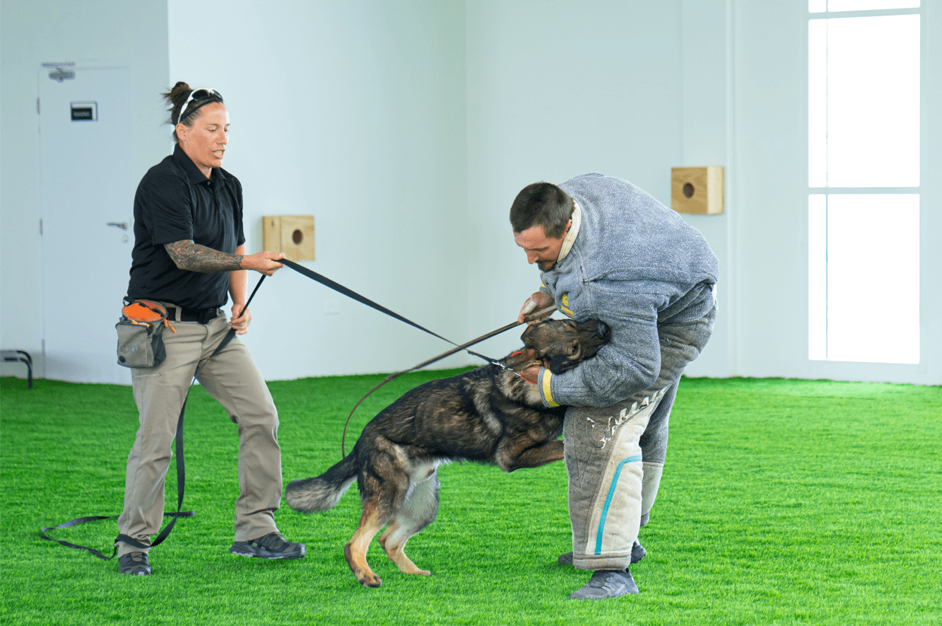 General Public – K9 Academy