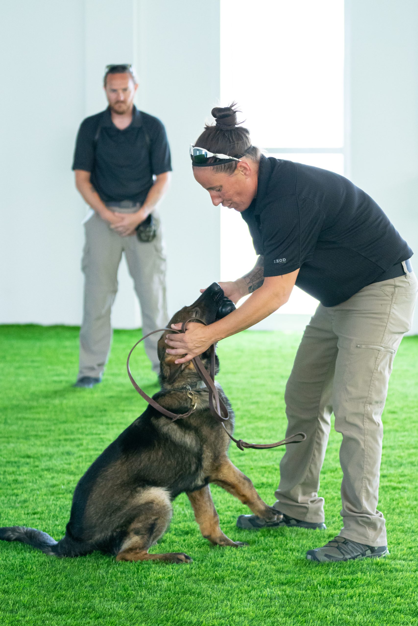 About – K9 Academy