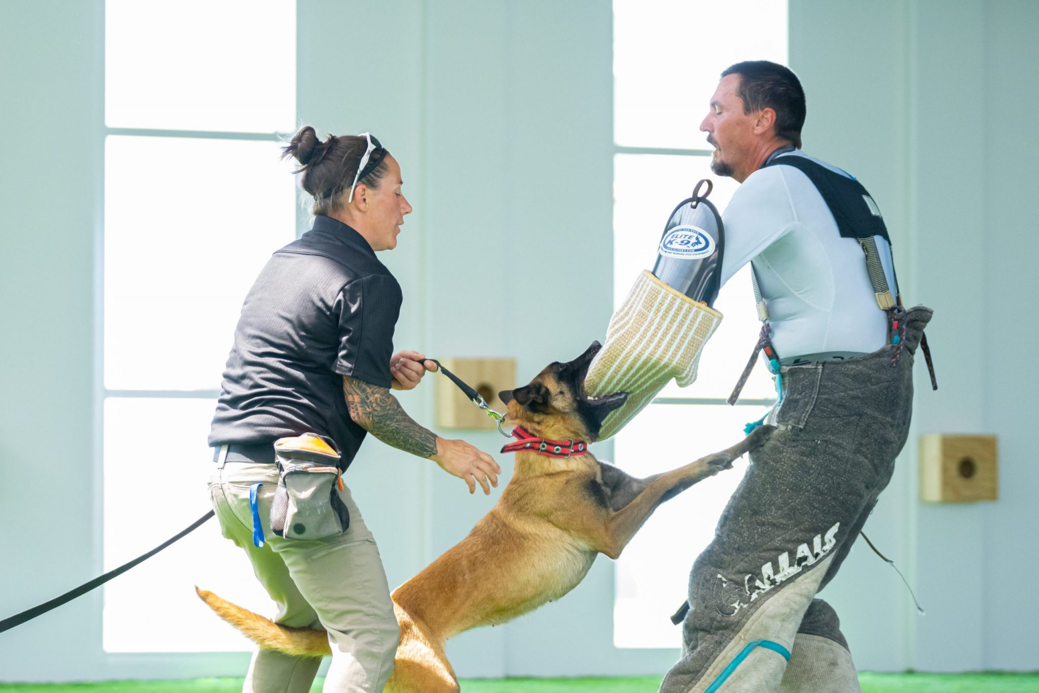 K9 Academy