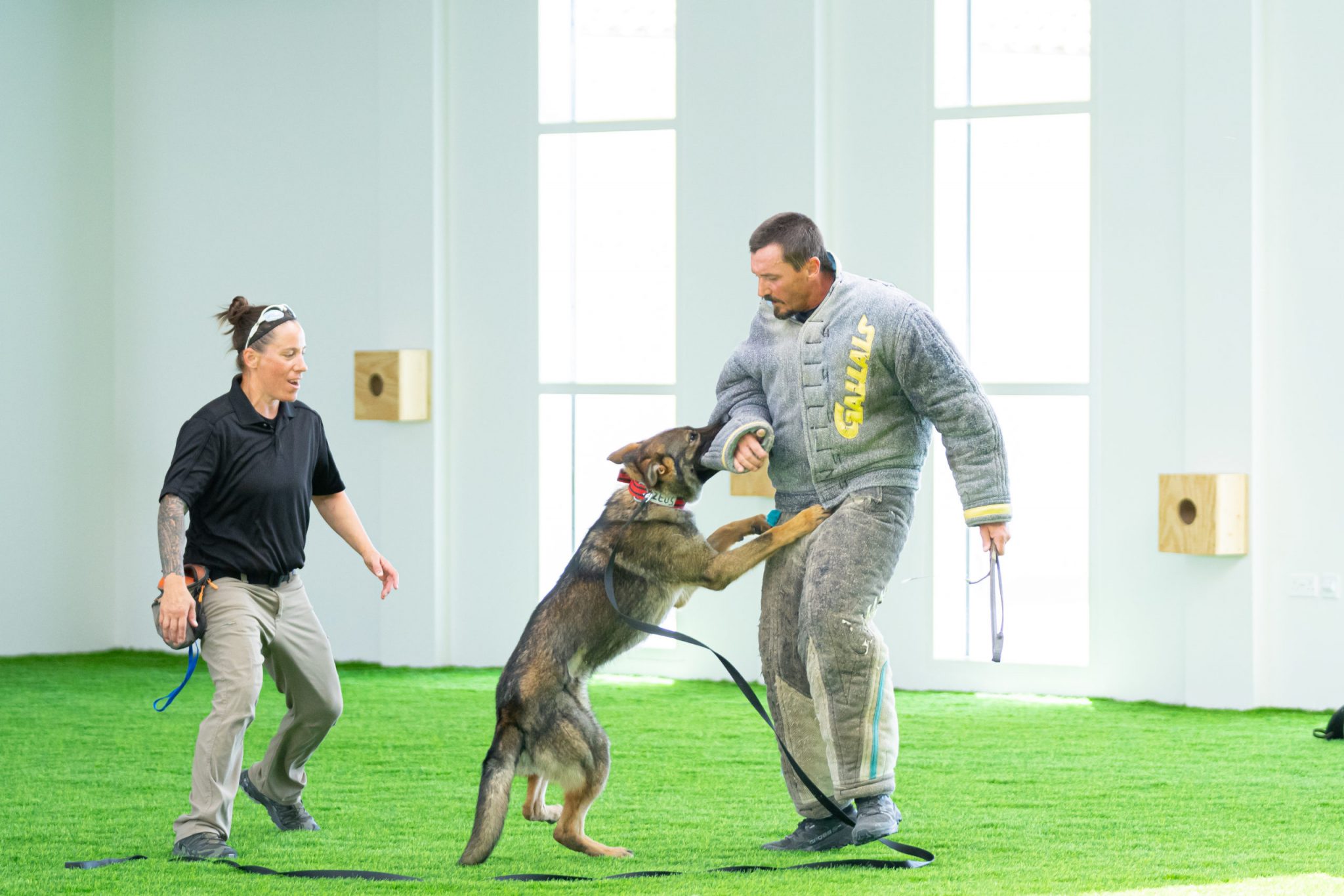 Private Sector – K9 Academy